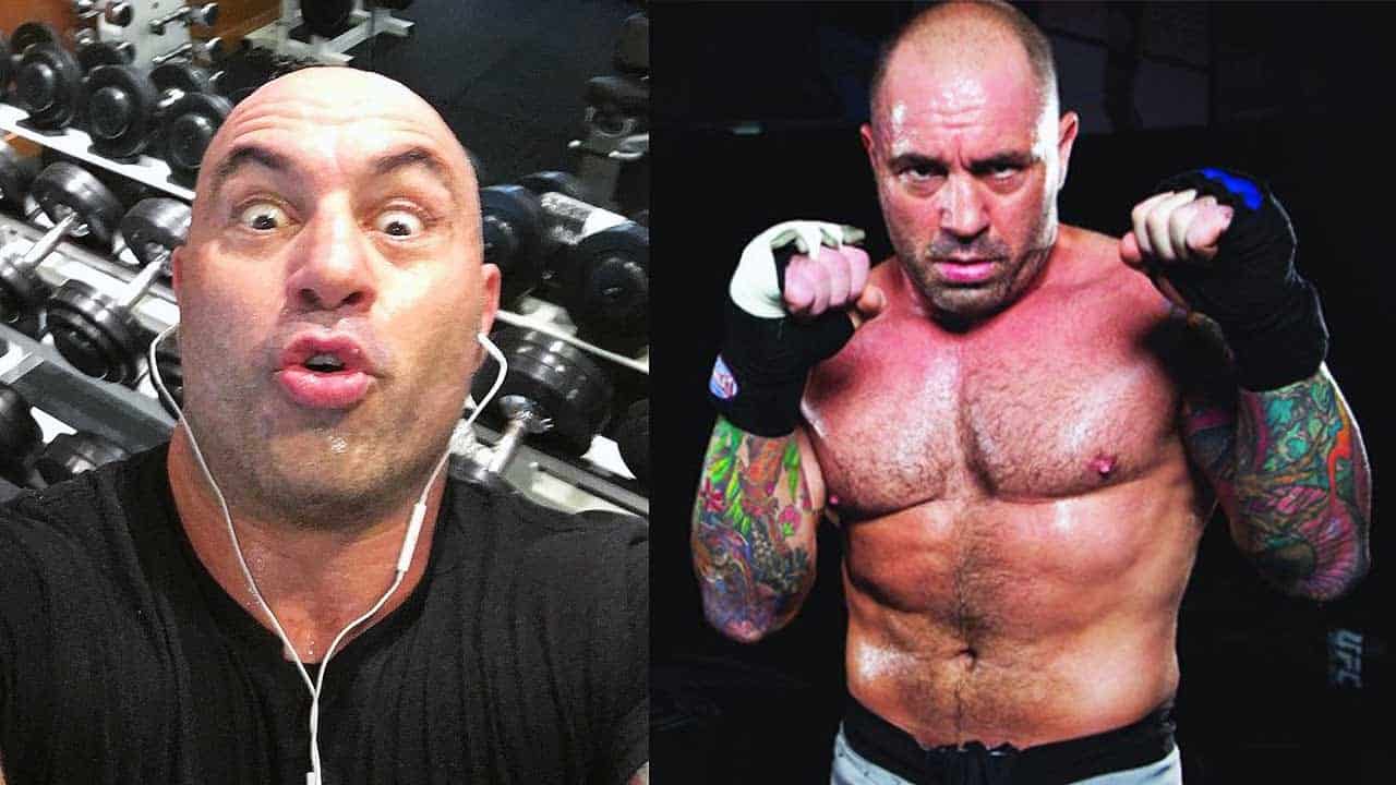 Joe Rogan on the "Regrettable Peculiarities of MMA" - MMA Full Contact