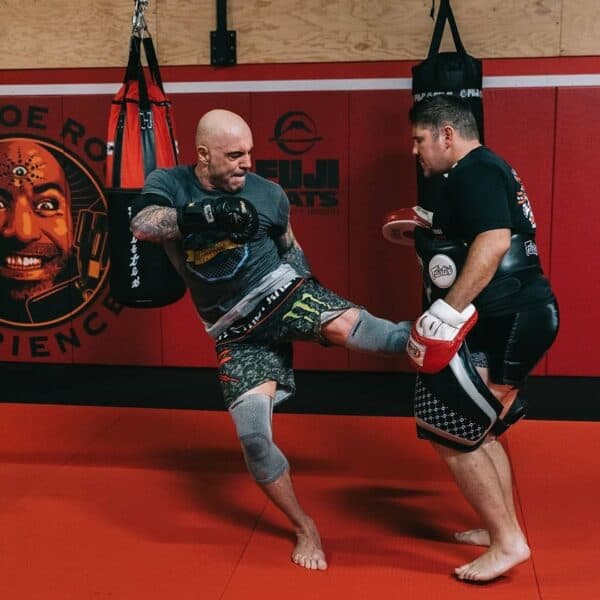 A Biography of Joe Rogan - MMA Full Contact