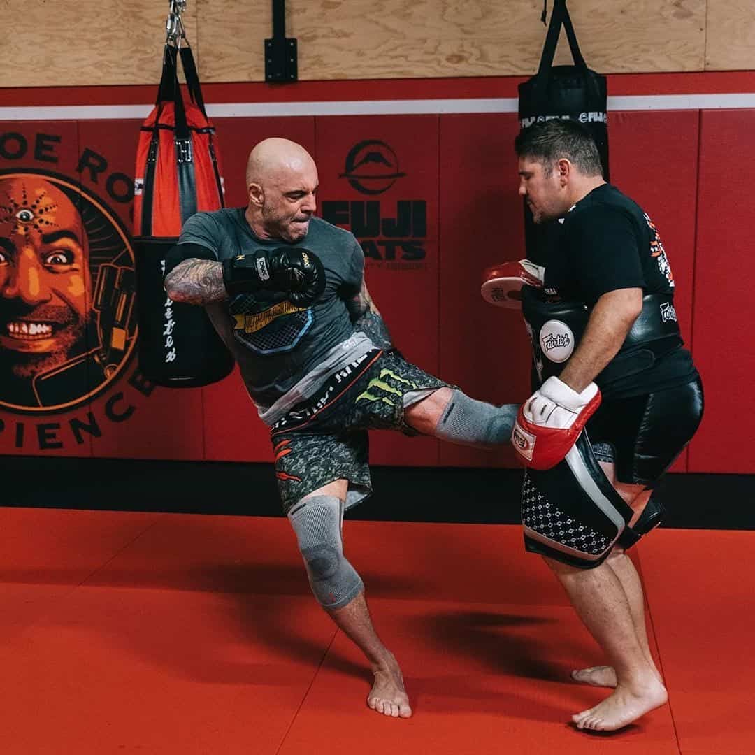 A Biography of Joe Rogan - MMA Full Contact