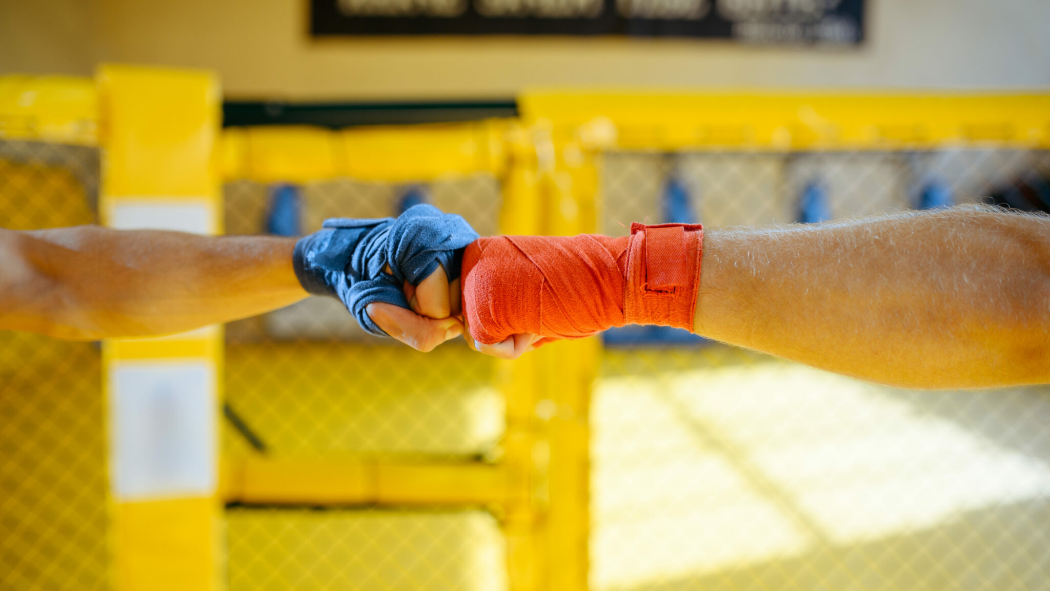 KO vs TKO In Combat Sports: Understanding The Difference - MMA Full Contact