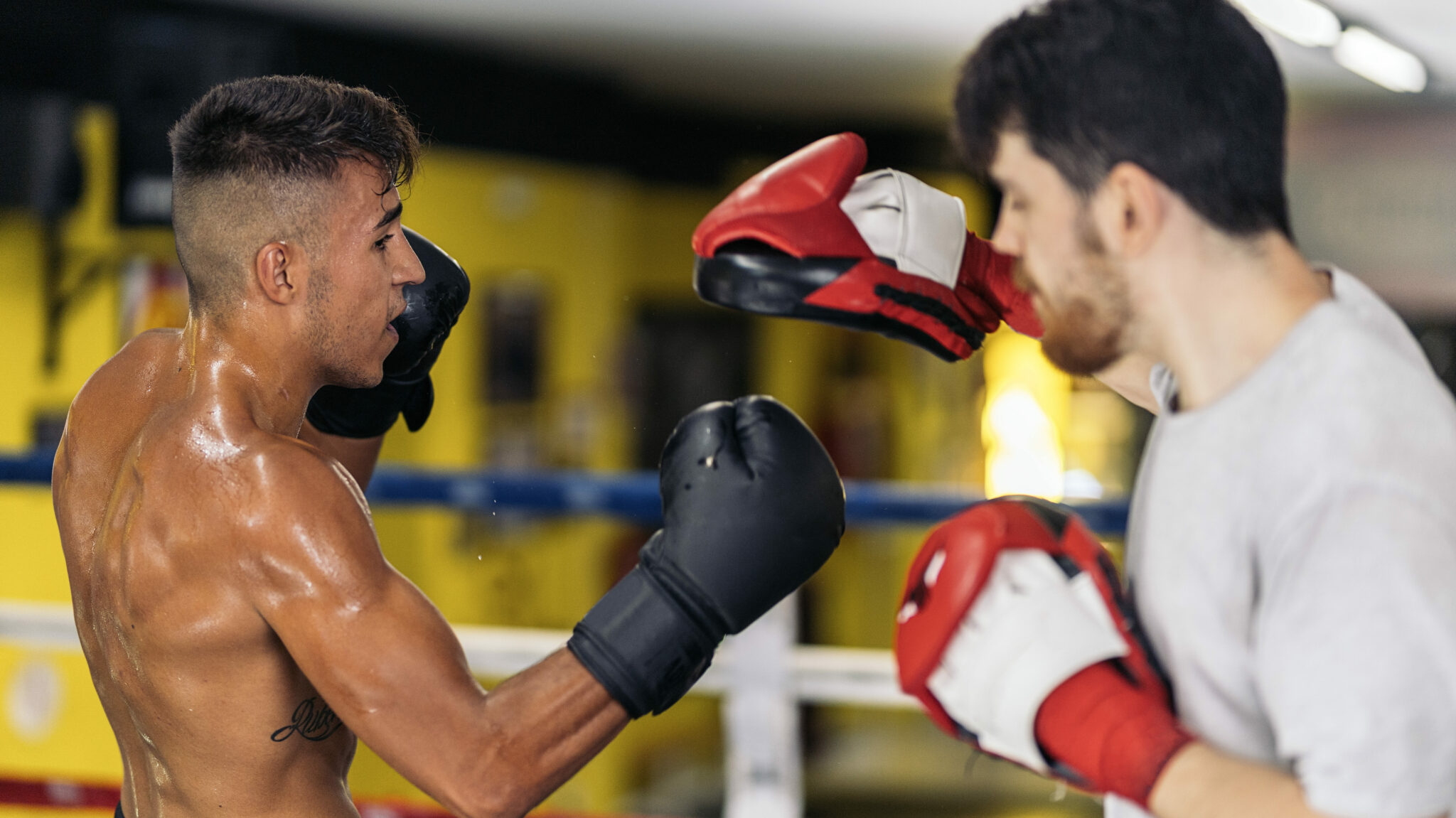 Step Into The Ring: How To Become A Pro Boxer - MMA Full Contact