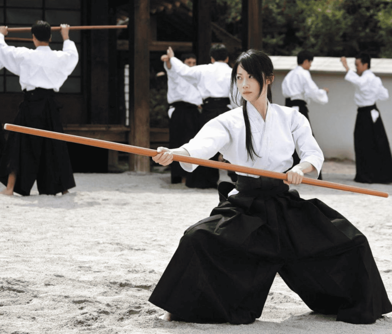 Staff Fighting: Techniques, History, and Modern Applications - MMA Full ...