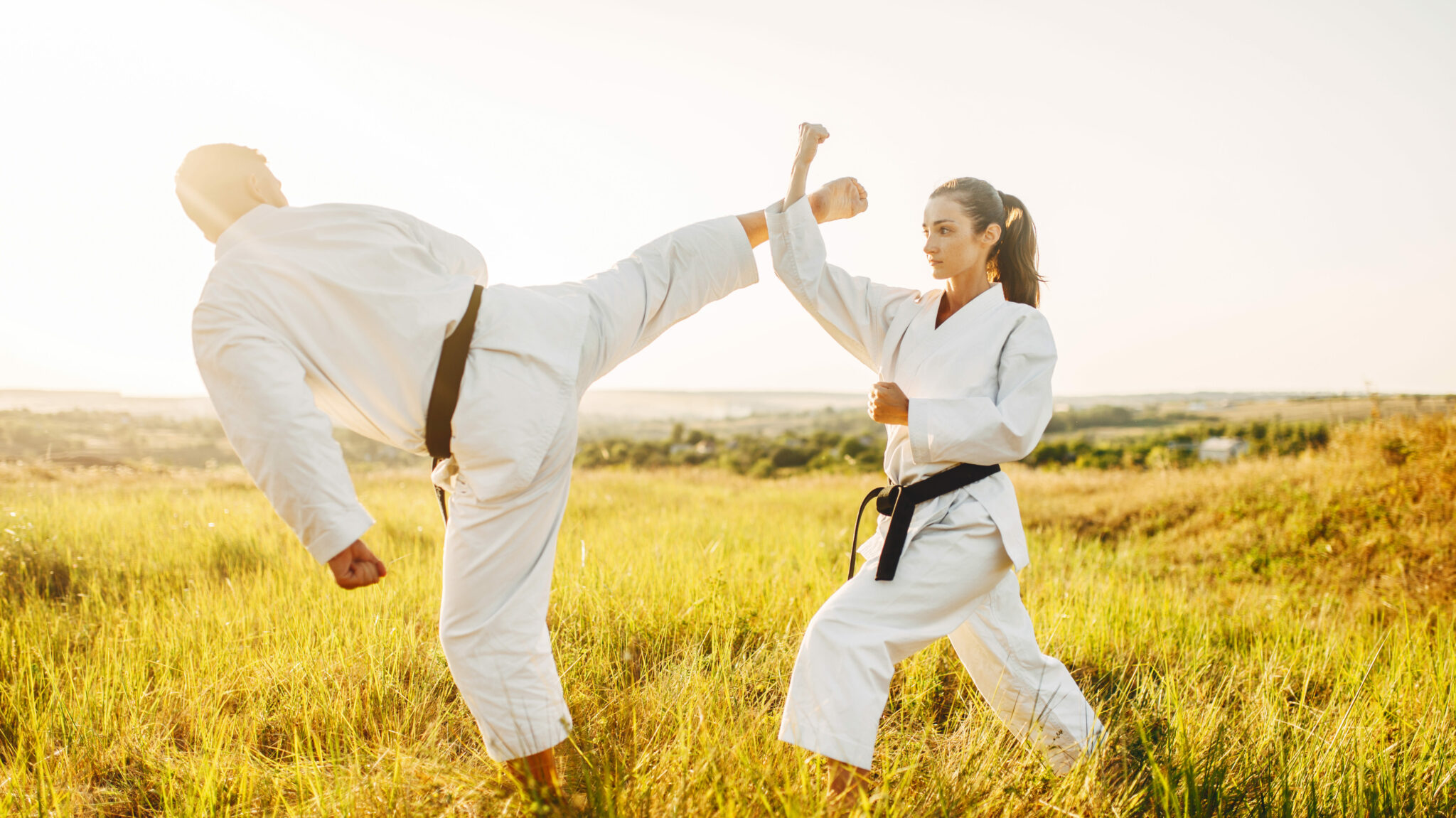 Karate vs Taekwondo: A Comprehensive Comparison - MMA Full Contact